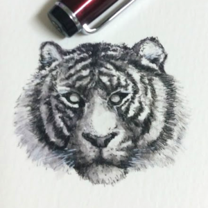 hmmph | draw